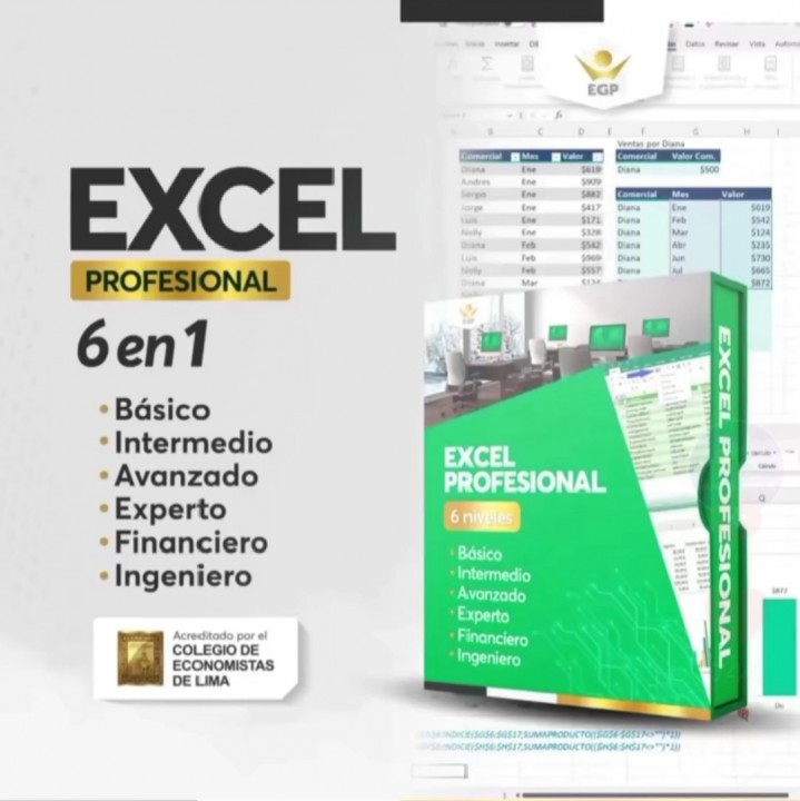 Excel profesional